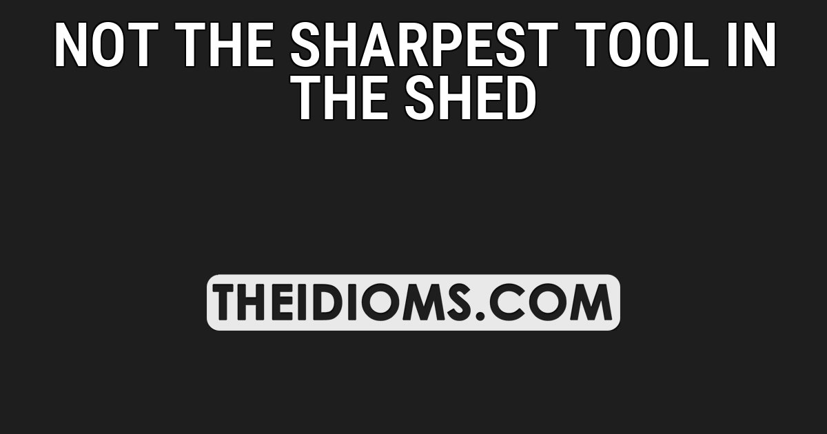 not the sharpest tool in the shed meaning, origin, example, sentence ...