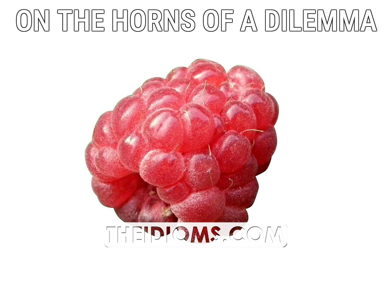 on the horns of a dilemma meaning, origin, example, sentence, history