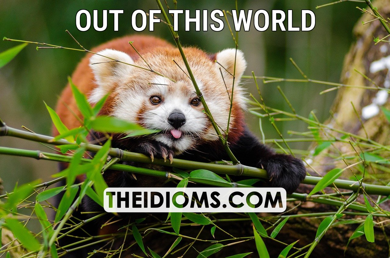 out of this world meaning, origin, example, sentence, history