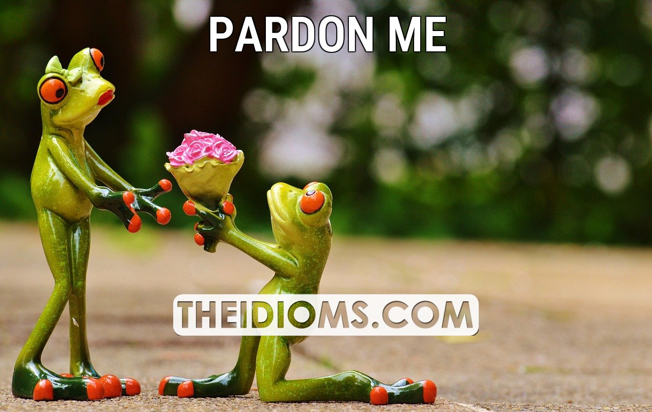 pardon me meaning, origin, example, sentence, history