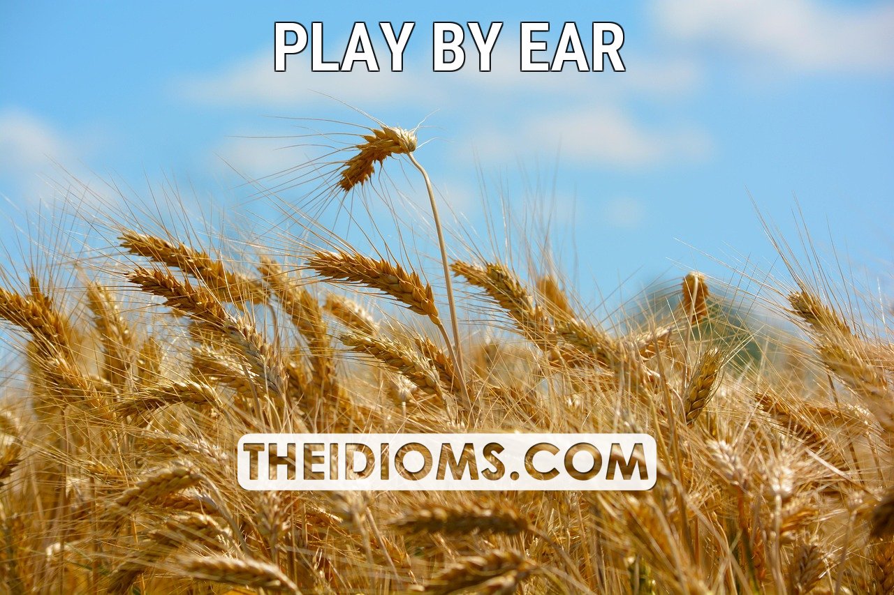 play by ear meaning, origin, example, sentence, history