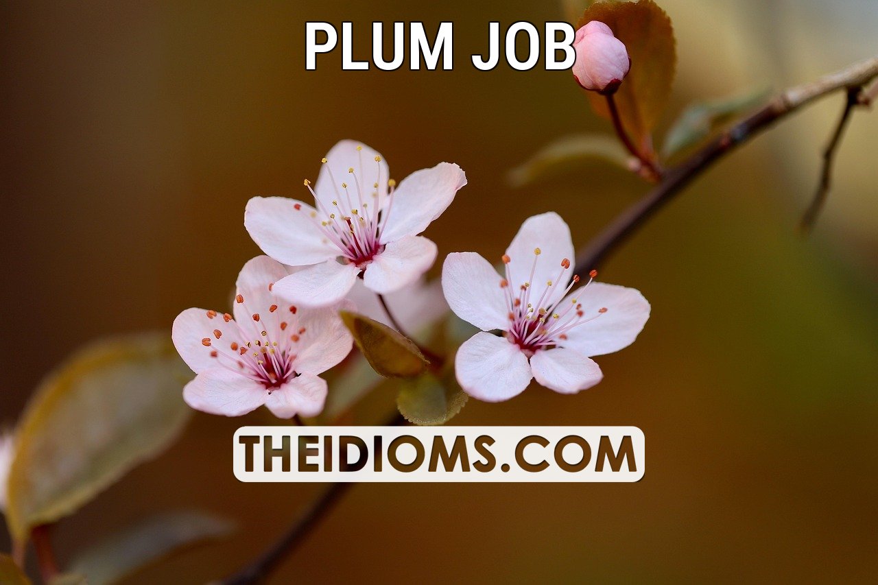 plum job meaning, origin, example, sentence, history