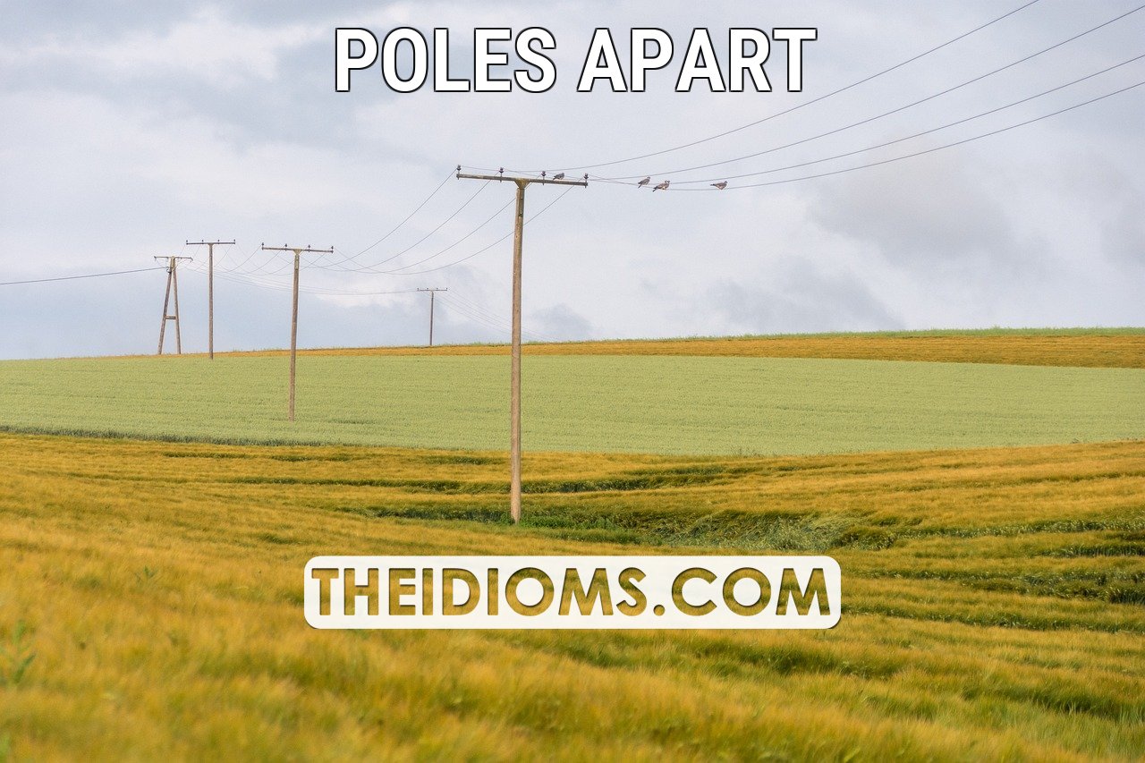 poles apart meaning, origin, example, sentence, etymology