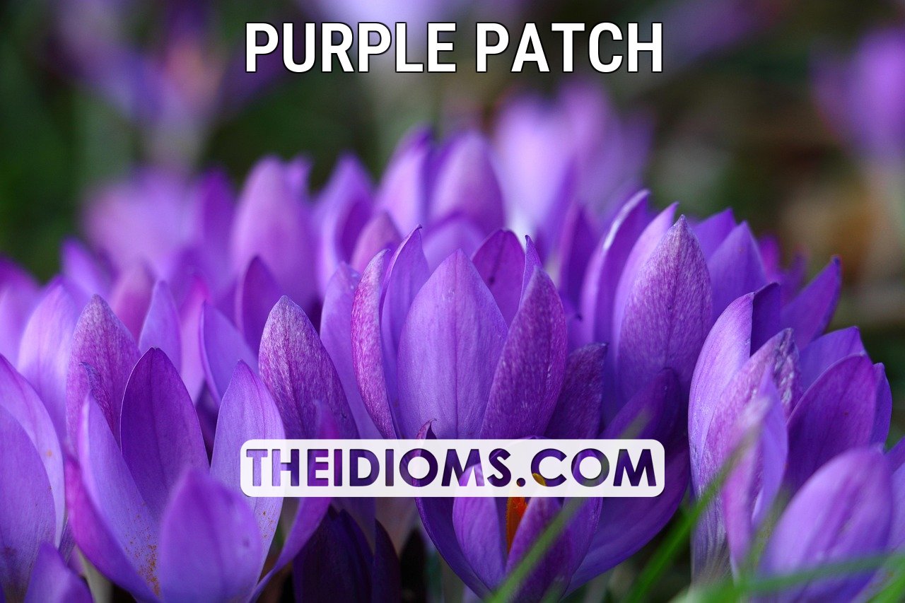 purple patch meaning, origin, example, sentence, history