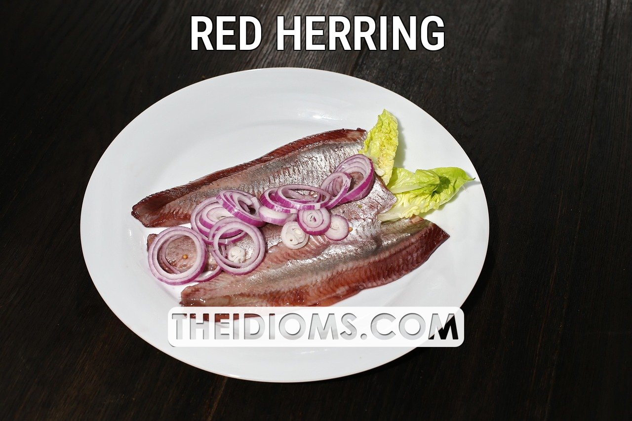 red herring meaning, origin, example, sentence, history