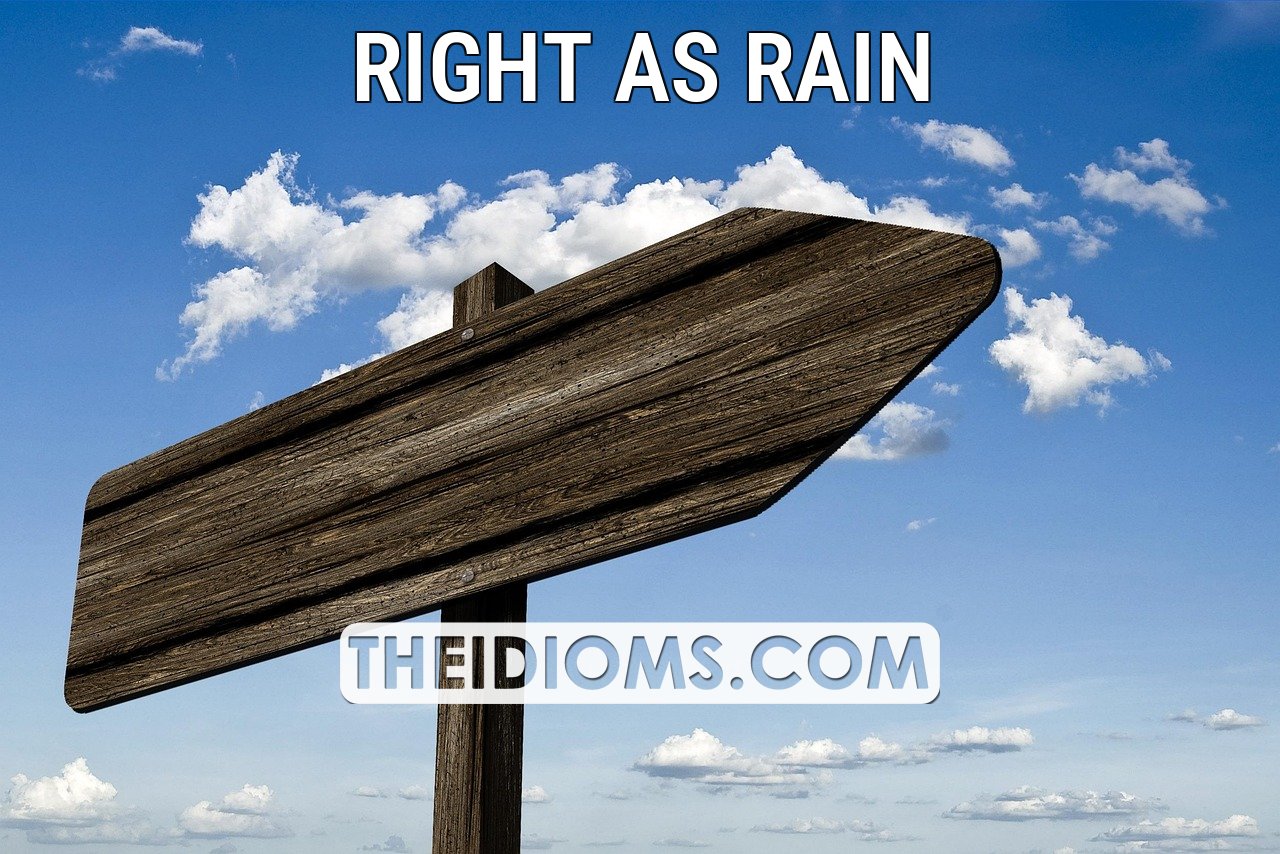right as rain meaning, origin, example, sentence, history