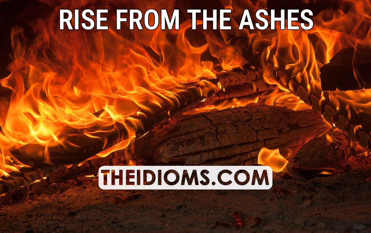 rise from the ashes meaning, origin, example, sentence, history