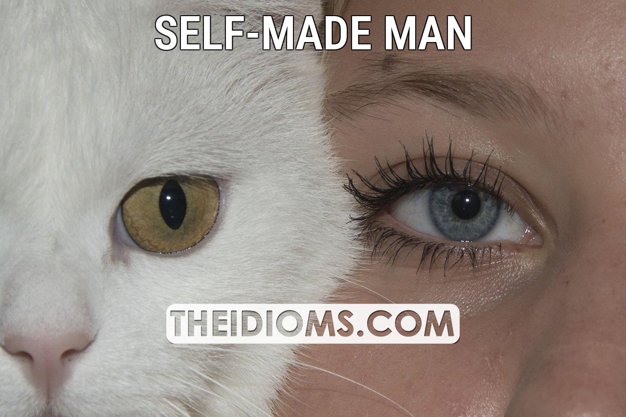 self-made man meaning, origin, example, sentence, history
