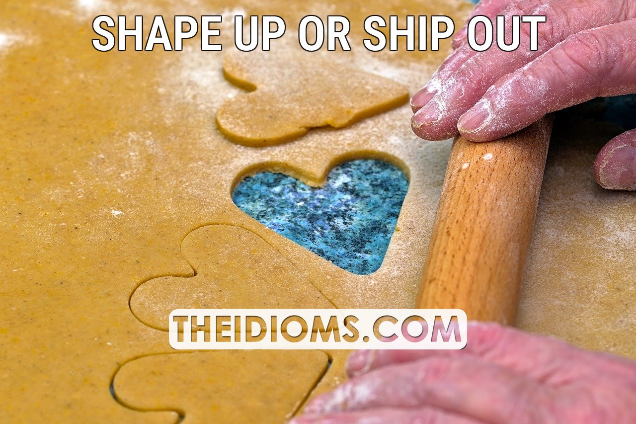 shape up or ship out meaning, origin, example, sentence, history