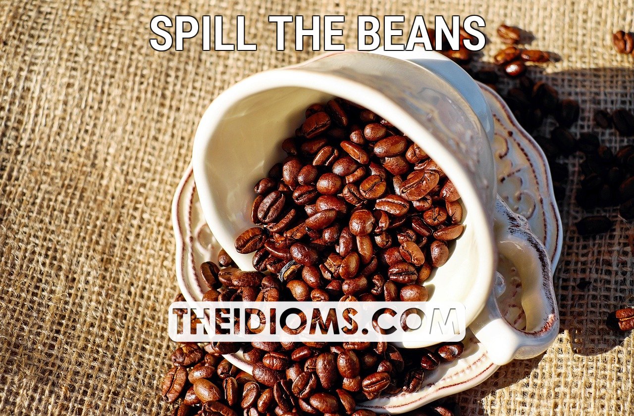 spill the beans meaning, origin, example, sentence, history