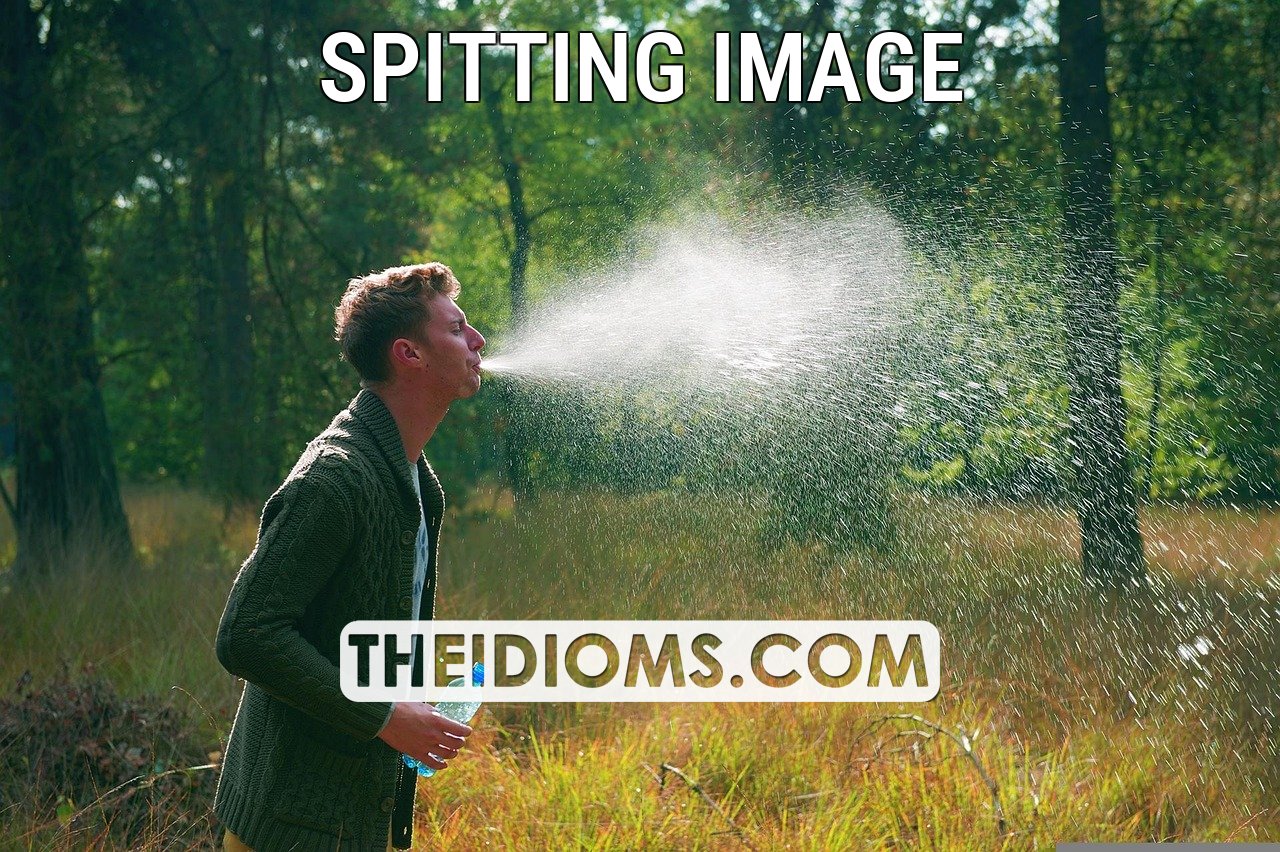 spitting image meaning, origin, example, sentence, history