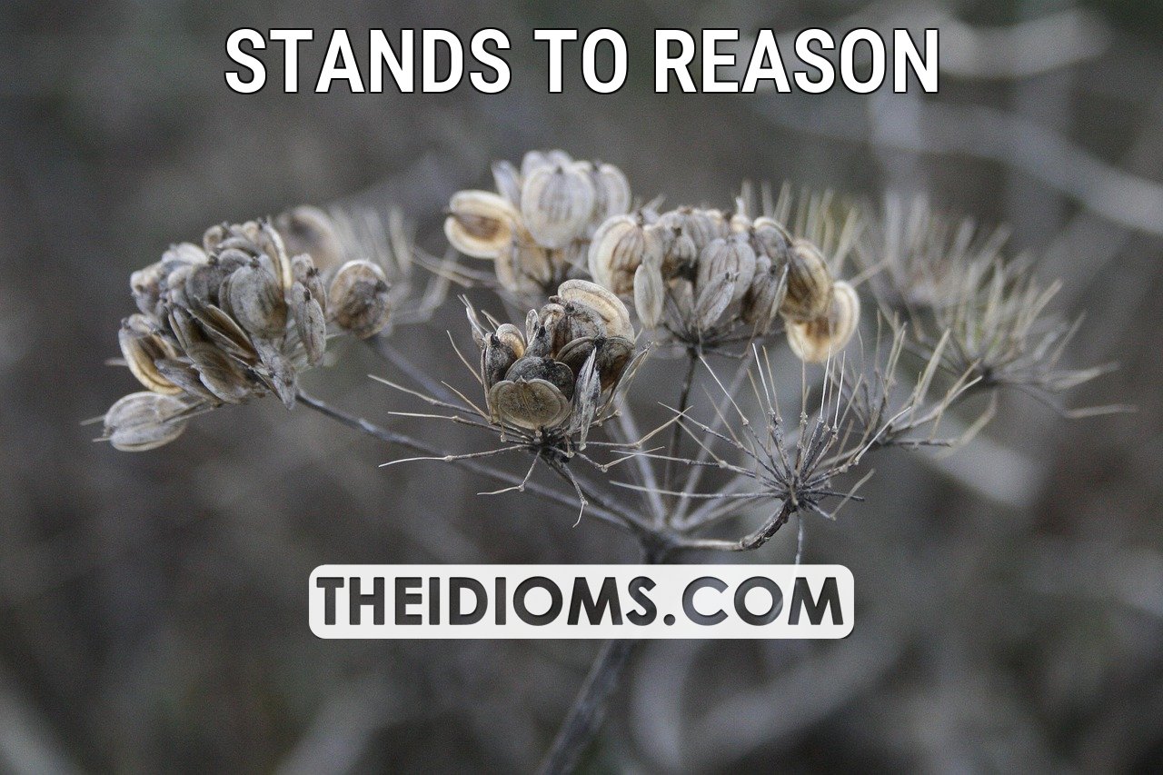 stands to reason meaning, origin, example, sentence, history