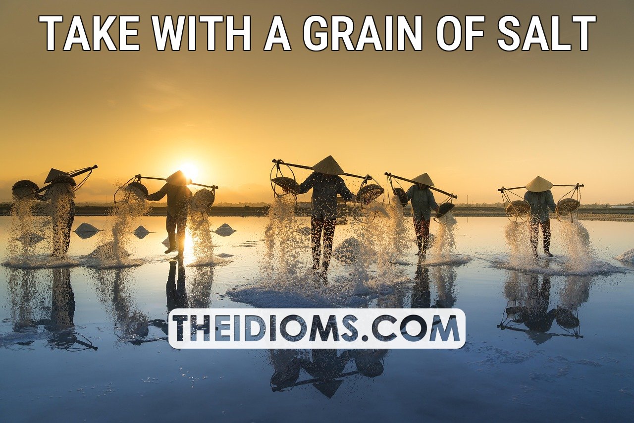 take with a grain of salt meaning, origin, example, sentence, history