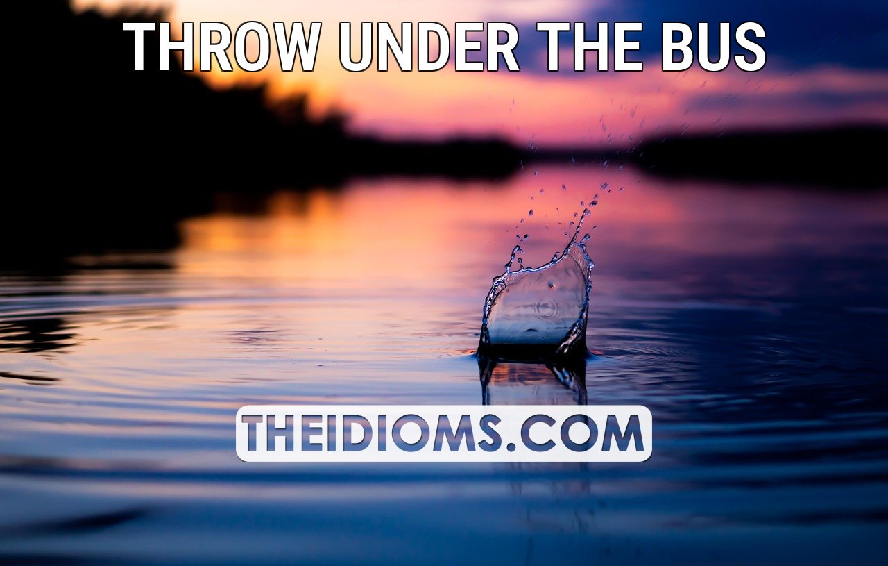 throw under the bus meaning, origin, example, sentence, history