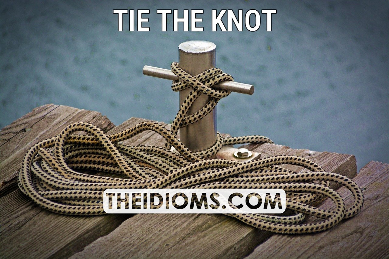 tie the knot meaning, origin, example, sentence, history
