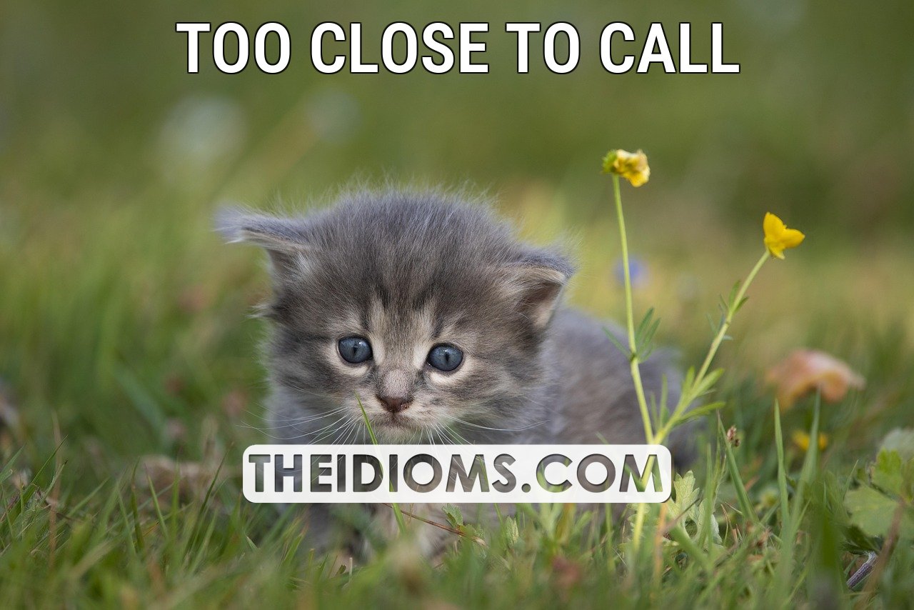 too close to call meaning, origin, example, sentence, history