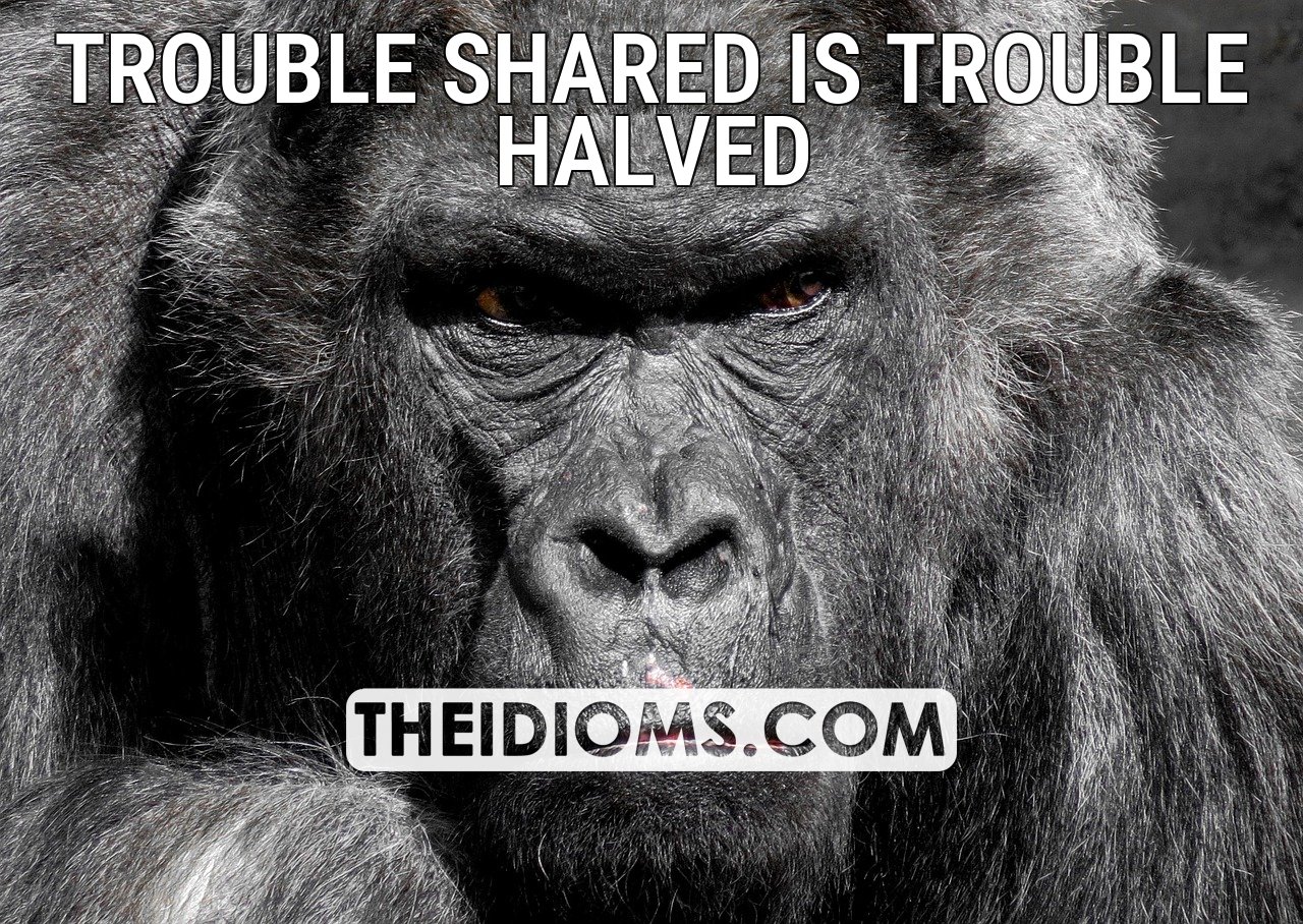 trouble shared is trouble halved meaning, origin, example, sentence ...
