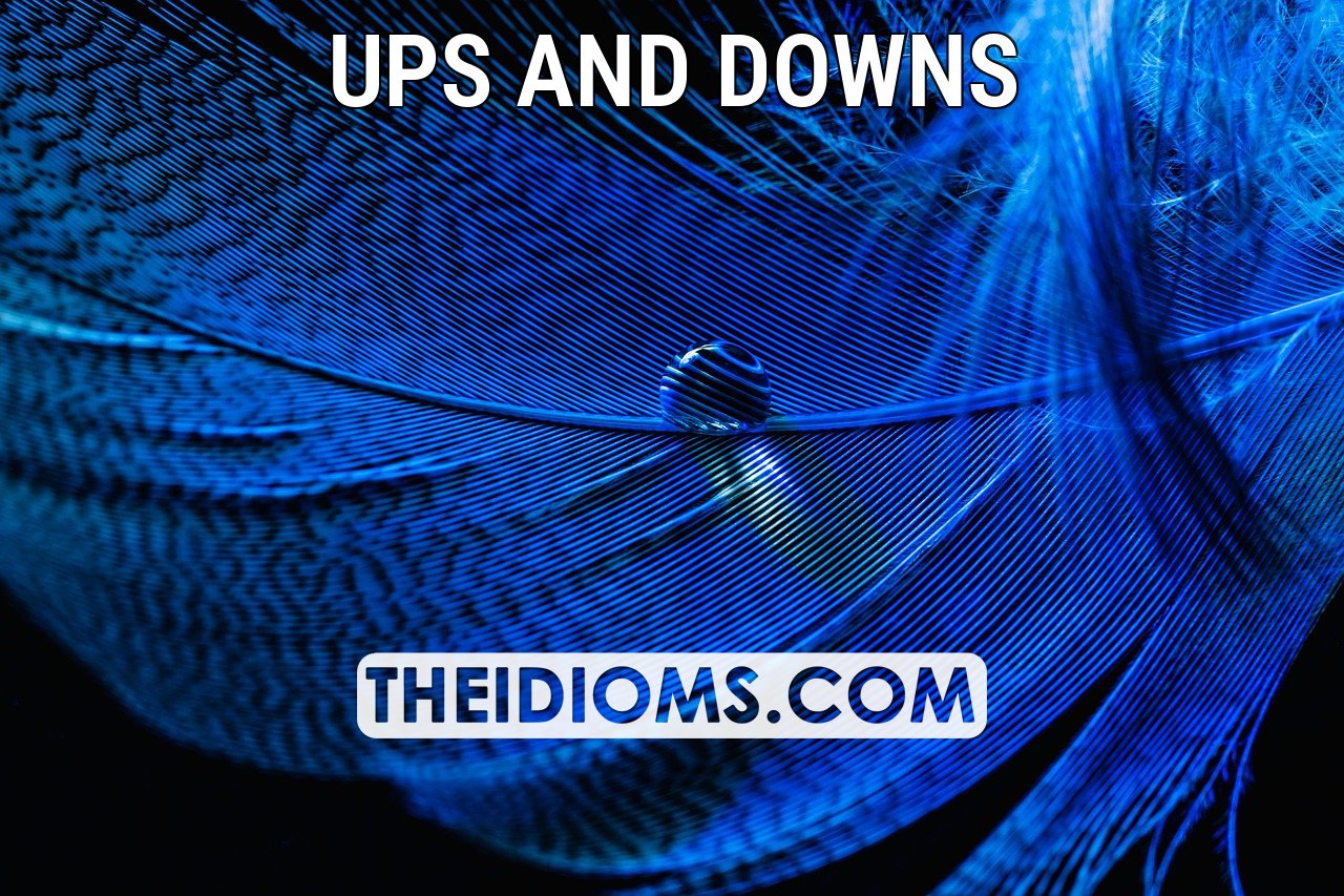 ups and downs meaning, origin, example, sentence, history