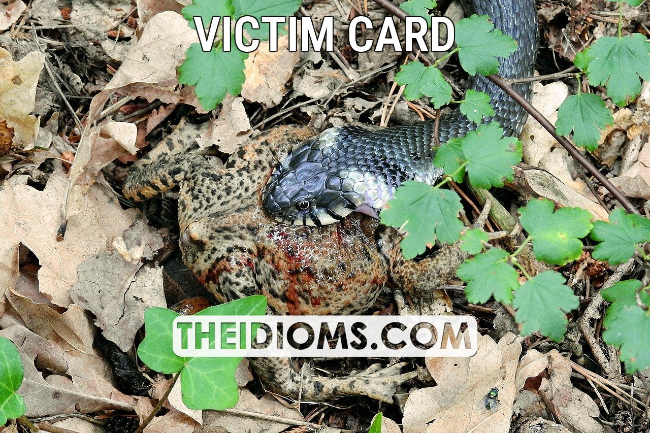 victim card meaning, origin, example, sentence, etymology