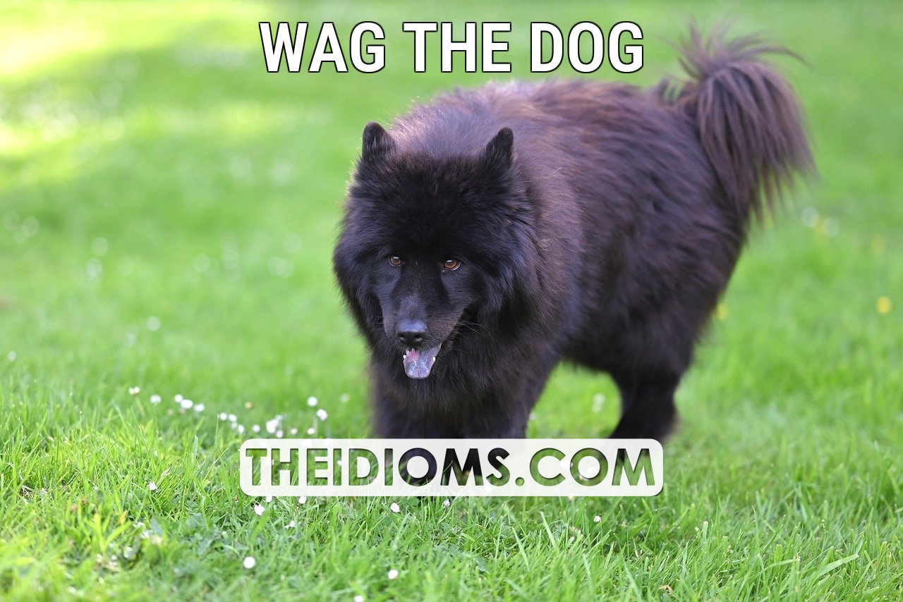 wag the dog meaning, origin, example, sentence, history