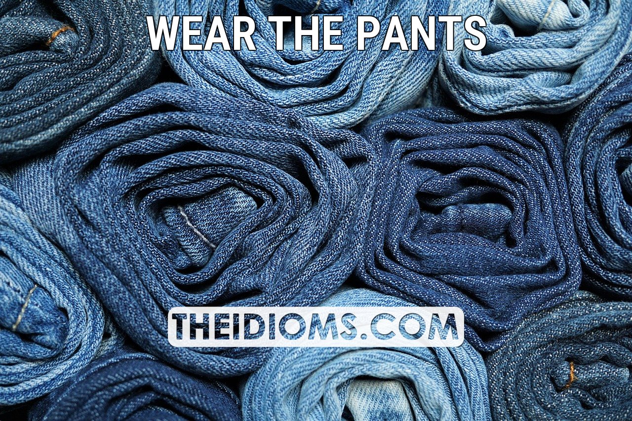wear the pants meaning, origin, example, sentence, history