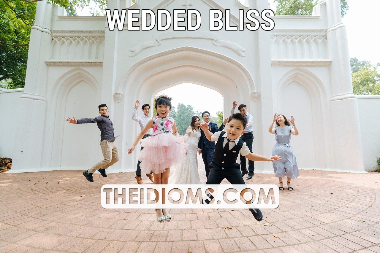 wedded bliss meaning, origin, example, sentence, history